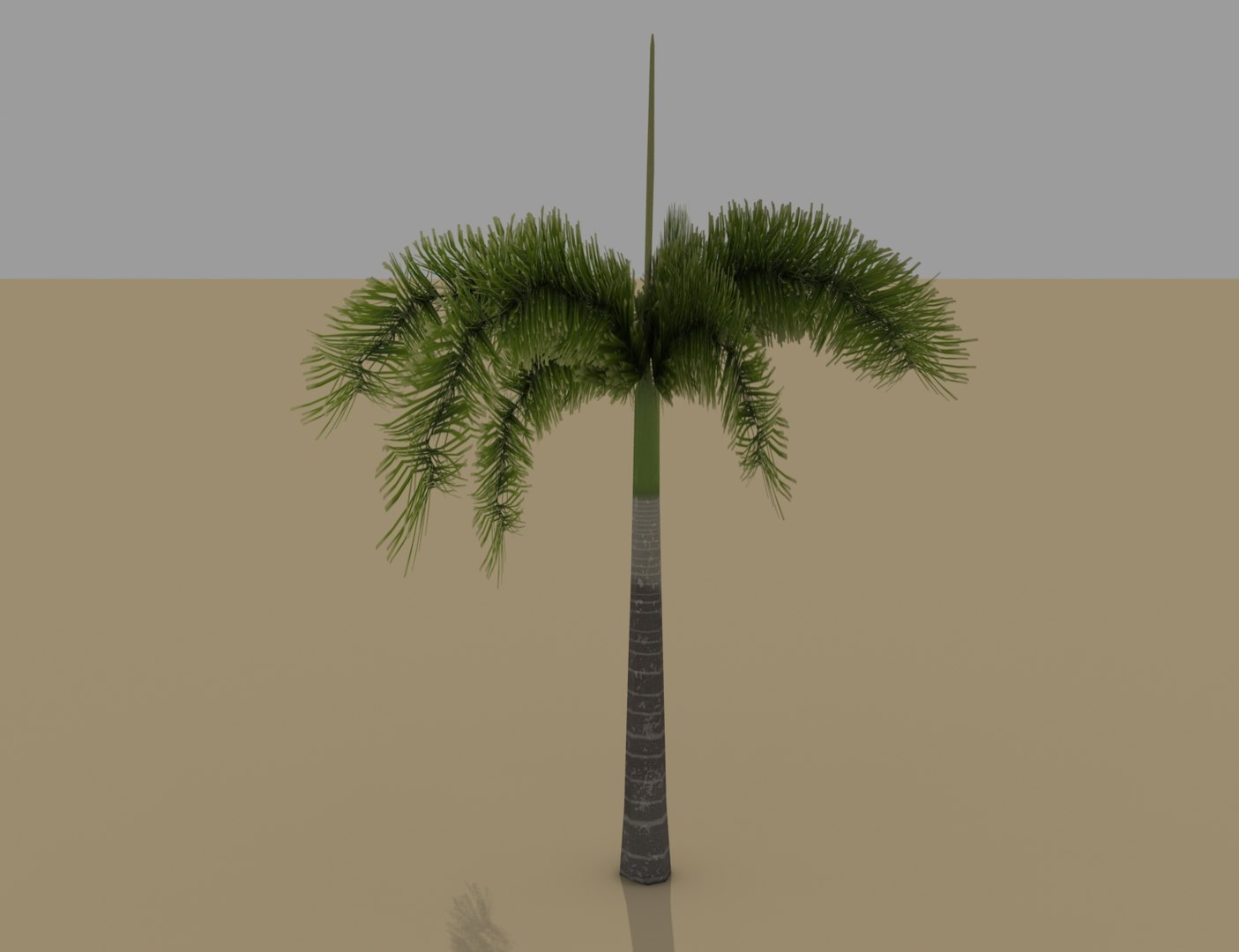 3d Model Of Palm Tree