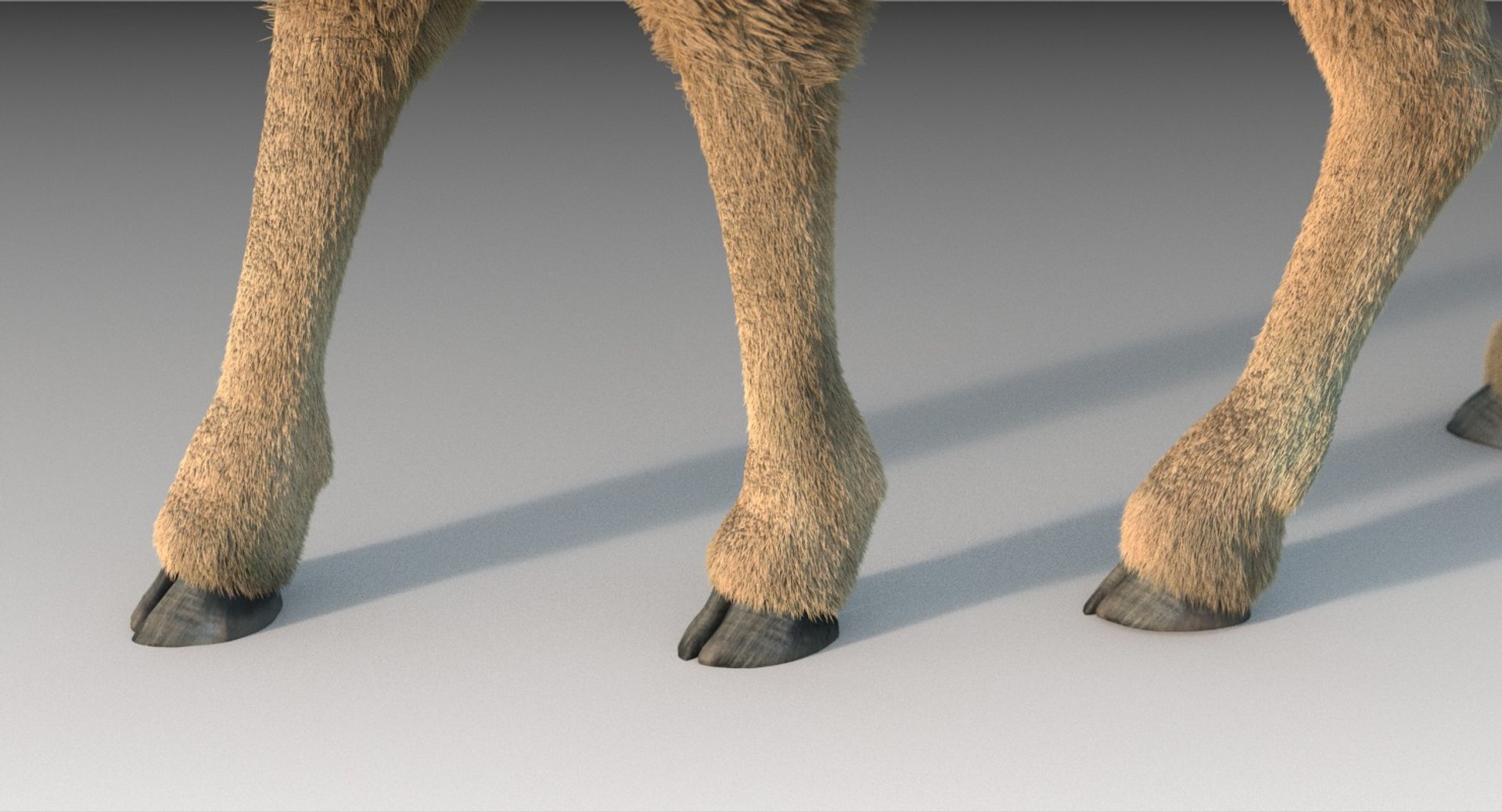 Bison Calf Fur Rig 3D Model - TurboSquid 1298972
