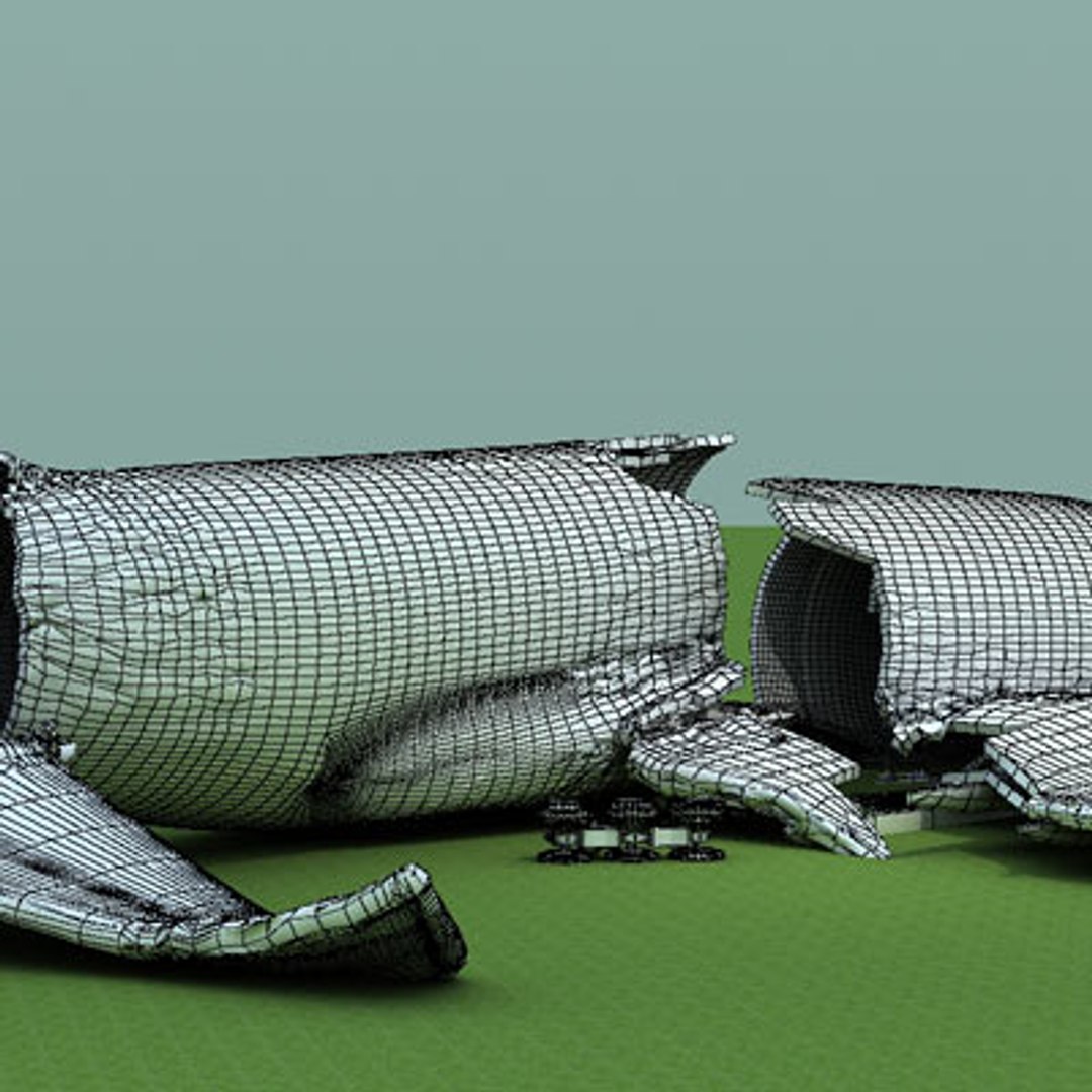 Crashed Plane 3d Model