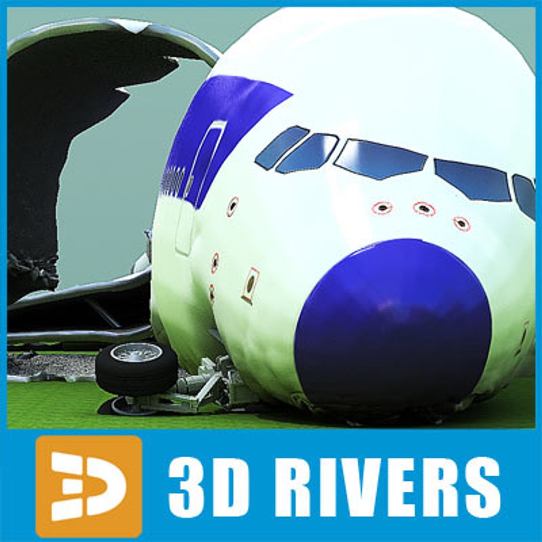 Crashed Plane 3d Model