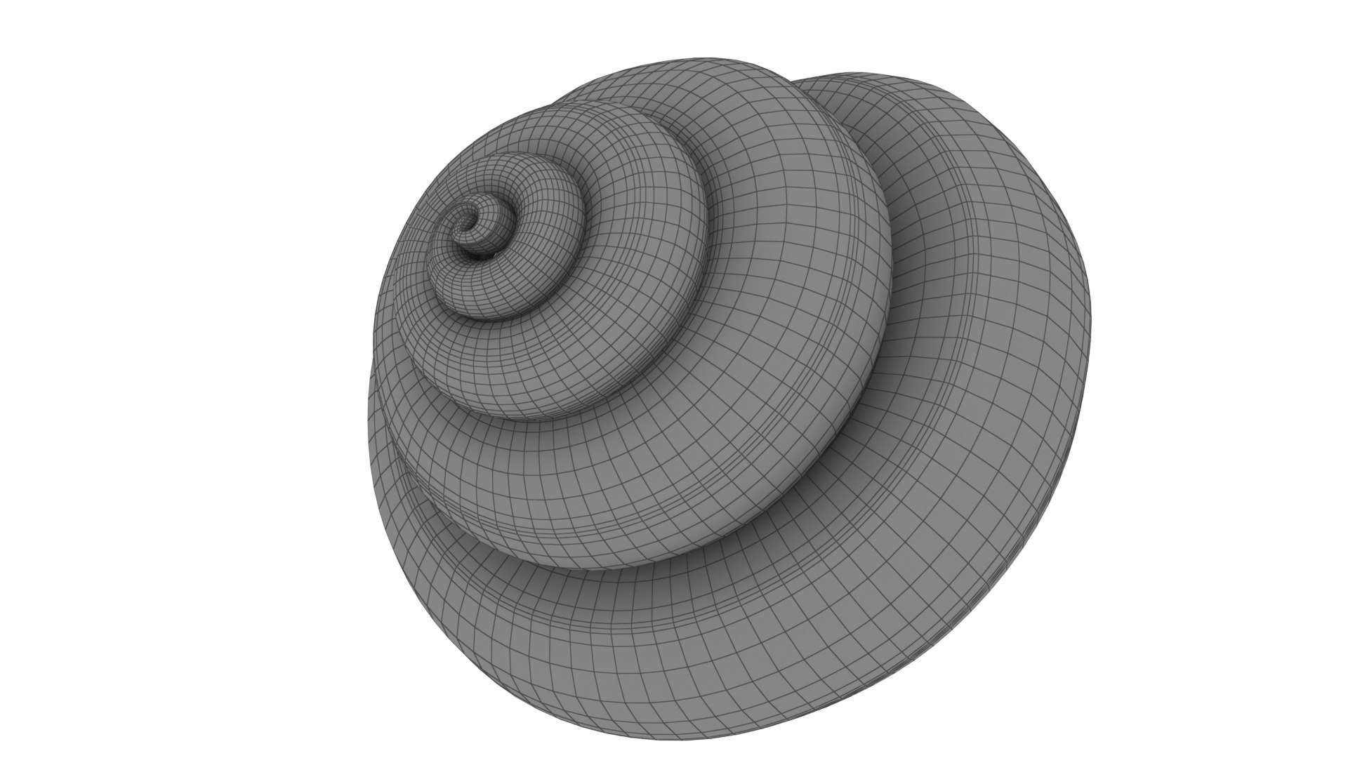 3D Cartoon Sea Shell 04 Model - TurboSquid 2088766