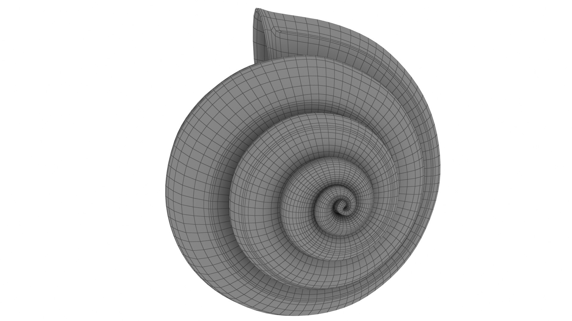 3D Cartoon Sea Shell 04 Model - TurboSquid 2088766