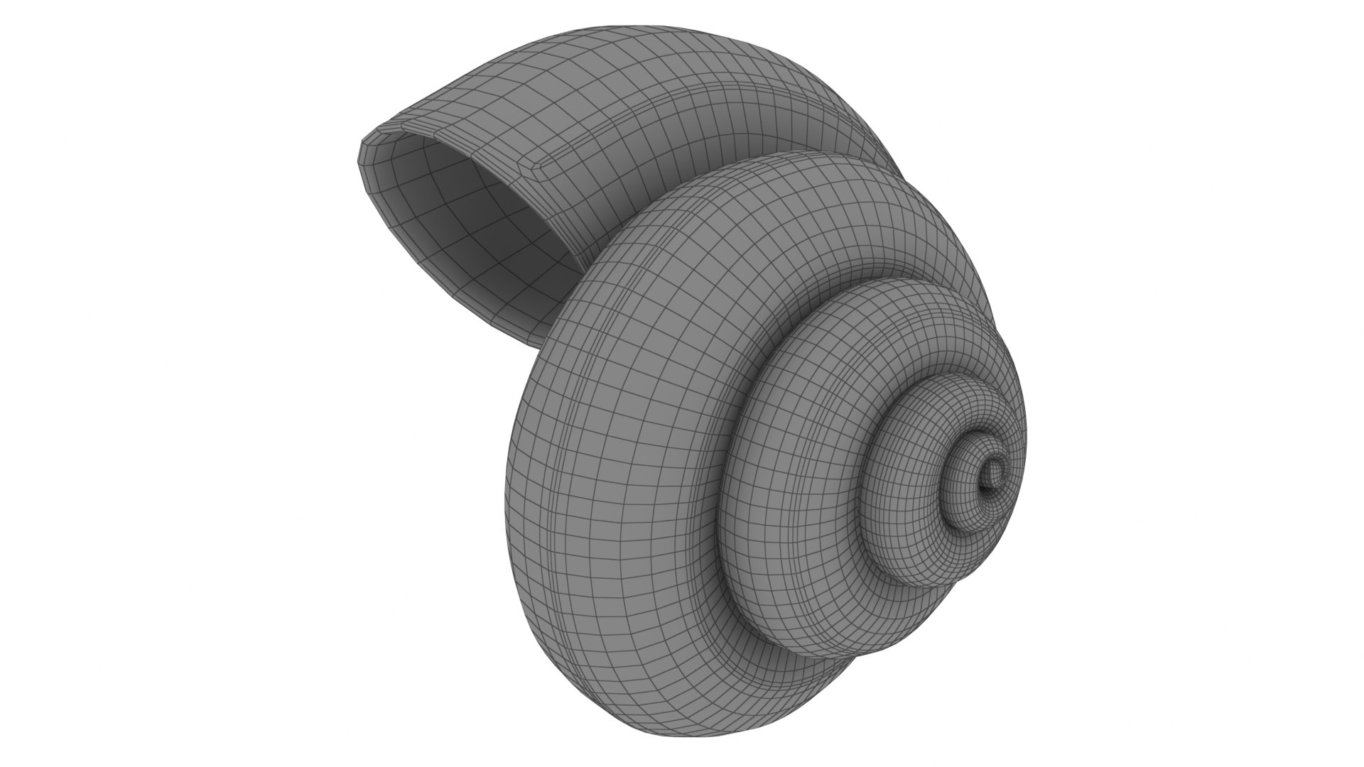 3D Cartoon Sea Shell 04 Model - TurboSquid 2088766