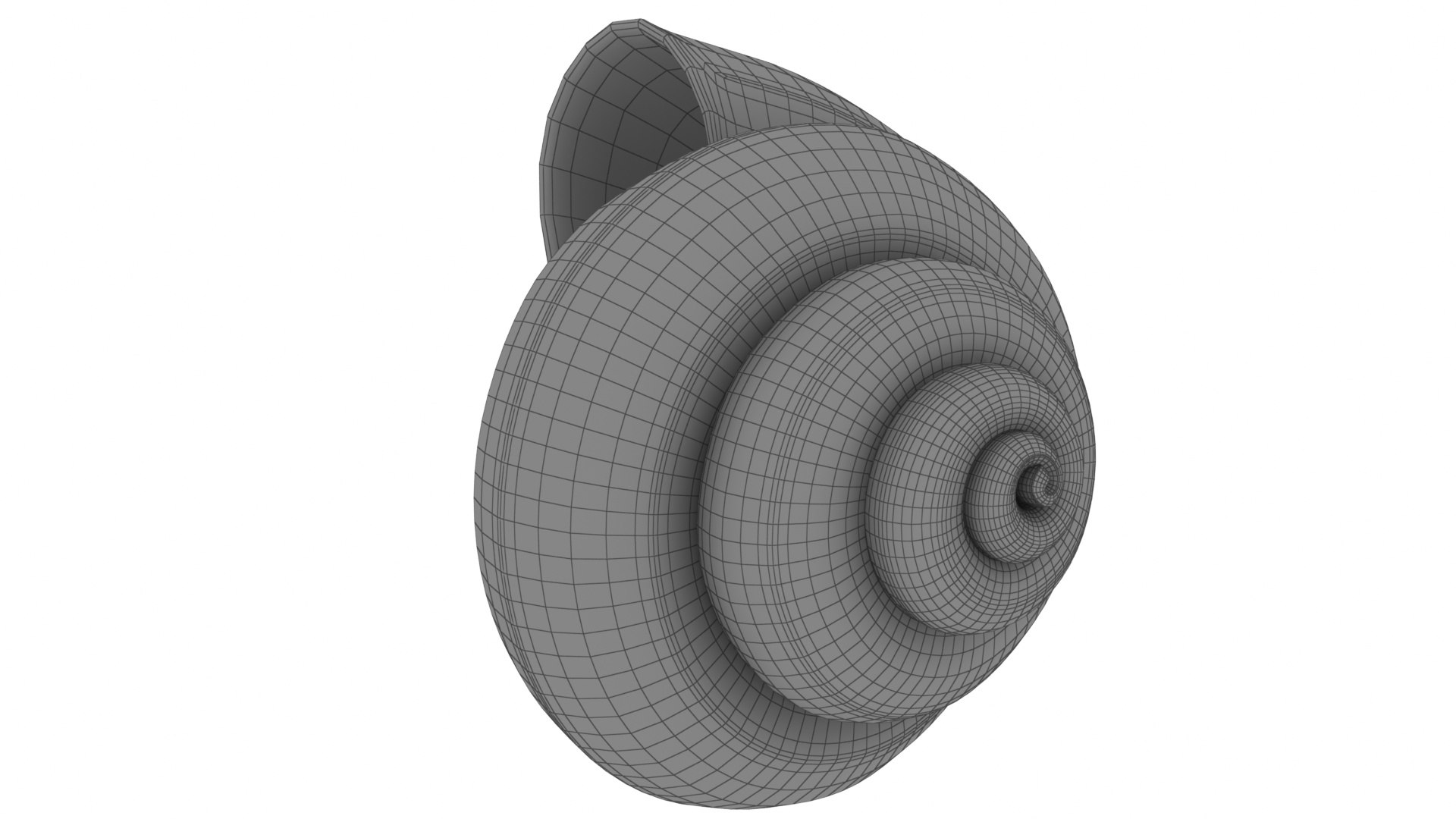 3D Cartoon Sea Shell 04 Model - TurboSquid 2088766