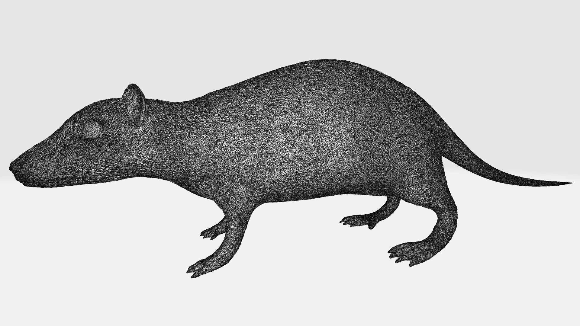 3D Model Rat Printable - TurboSquid 1990129