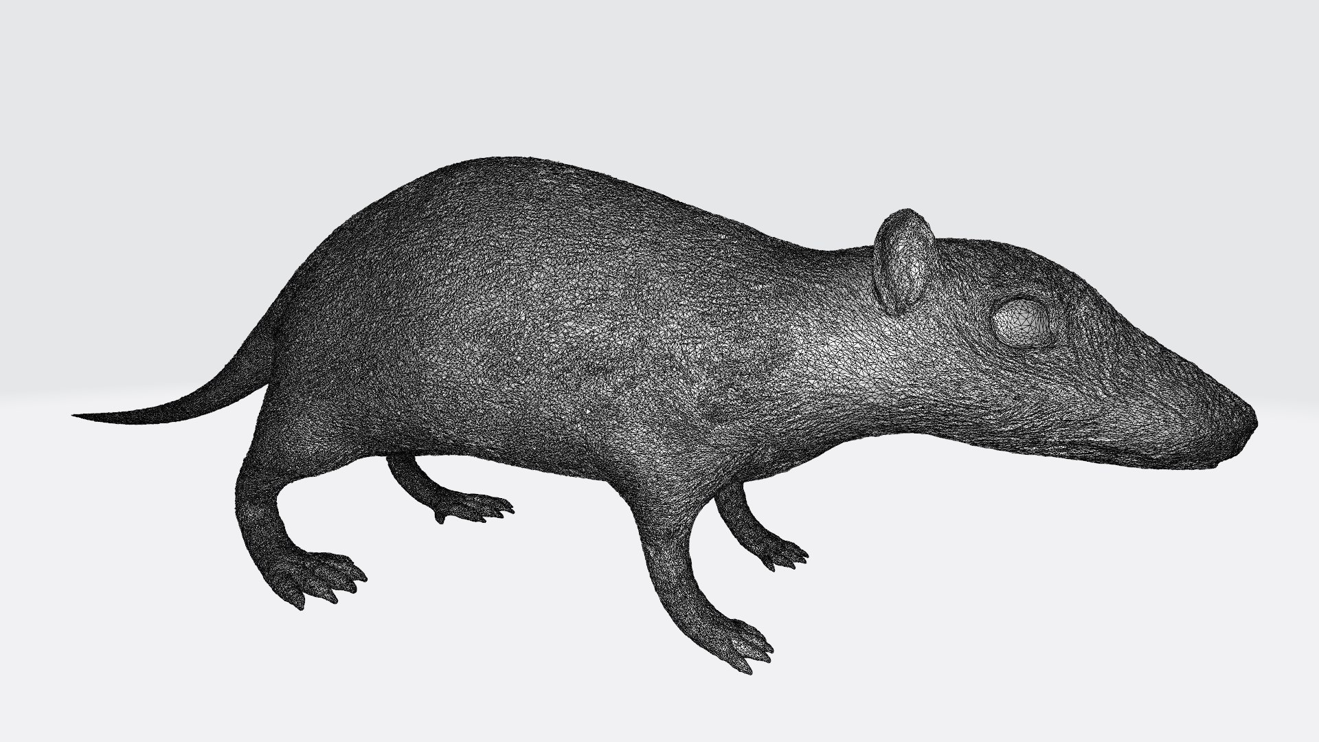 3D Model Rat Printable - TurboSquid 1990129