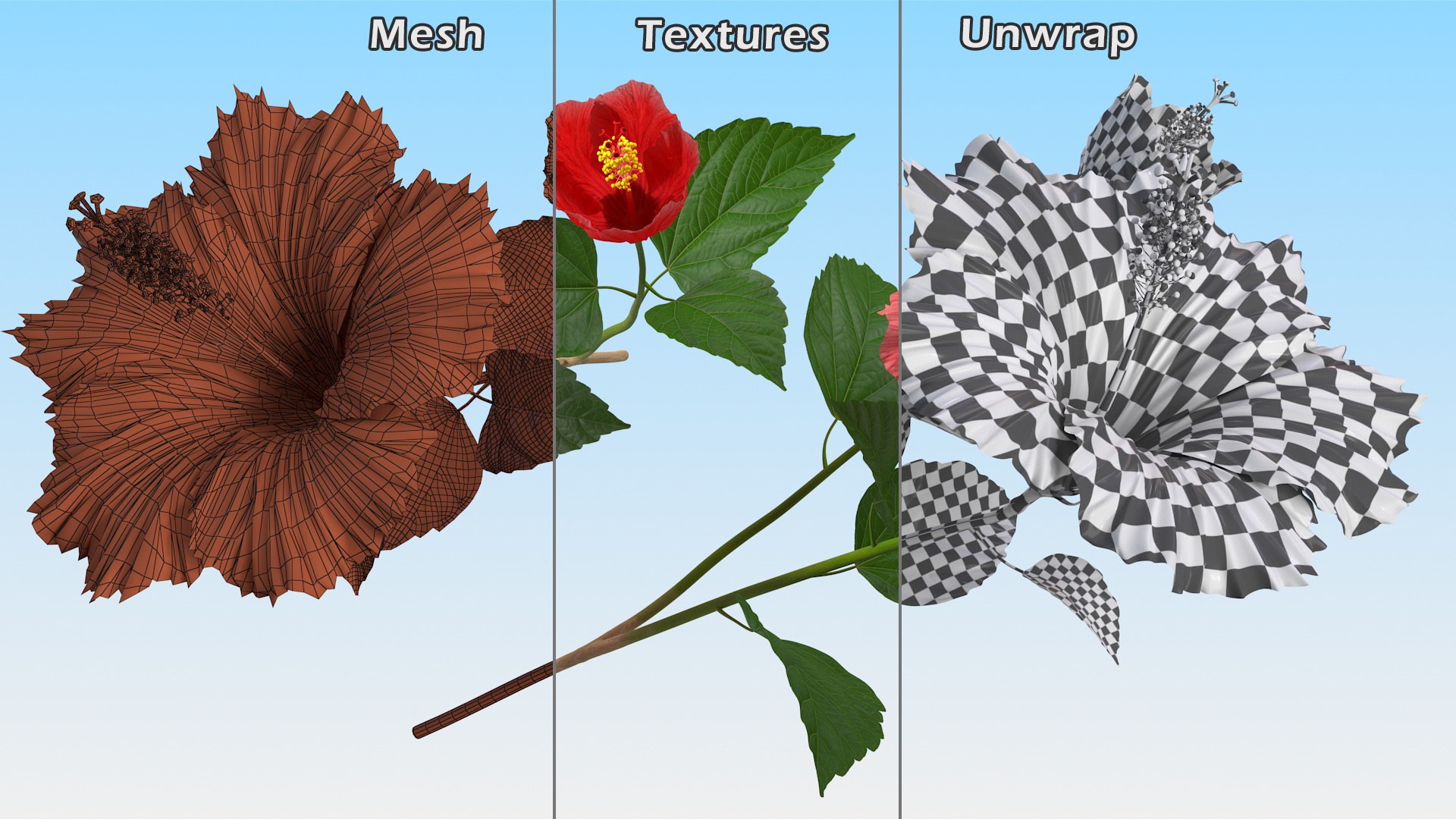 3D Red Flowering Plants Collection 2 model - TurboSquid 2163430