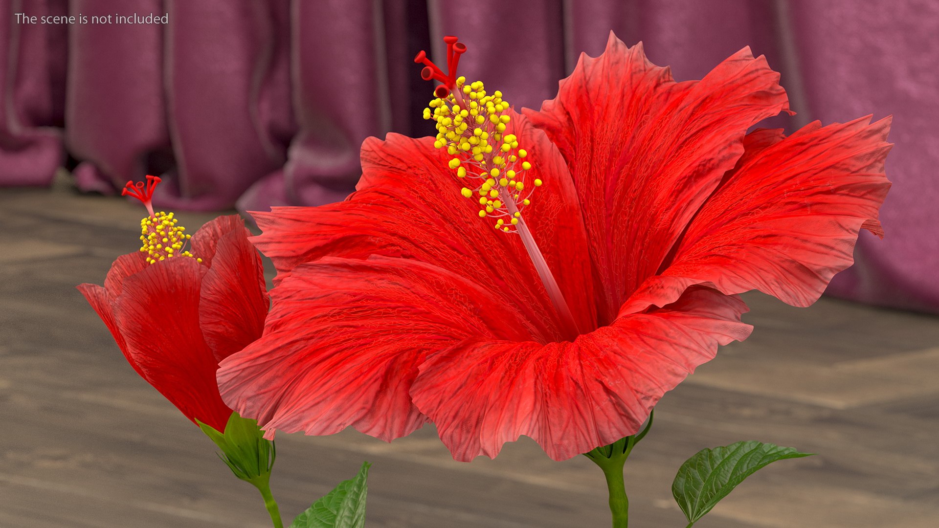 3D Red Flowering Plants Collection 2 model - TurboSquid 2163430