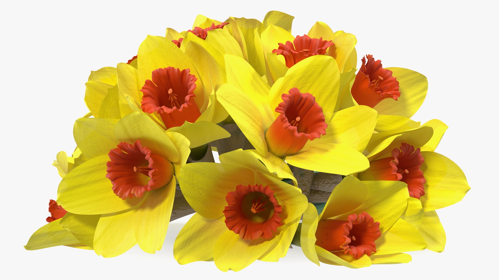 Yellow Daffodils Bouquet 3D model - TurboSquid 2094455