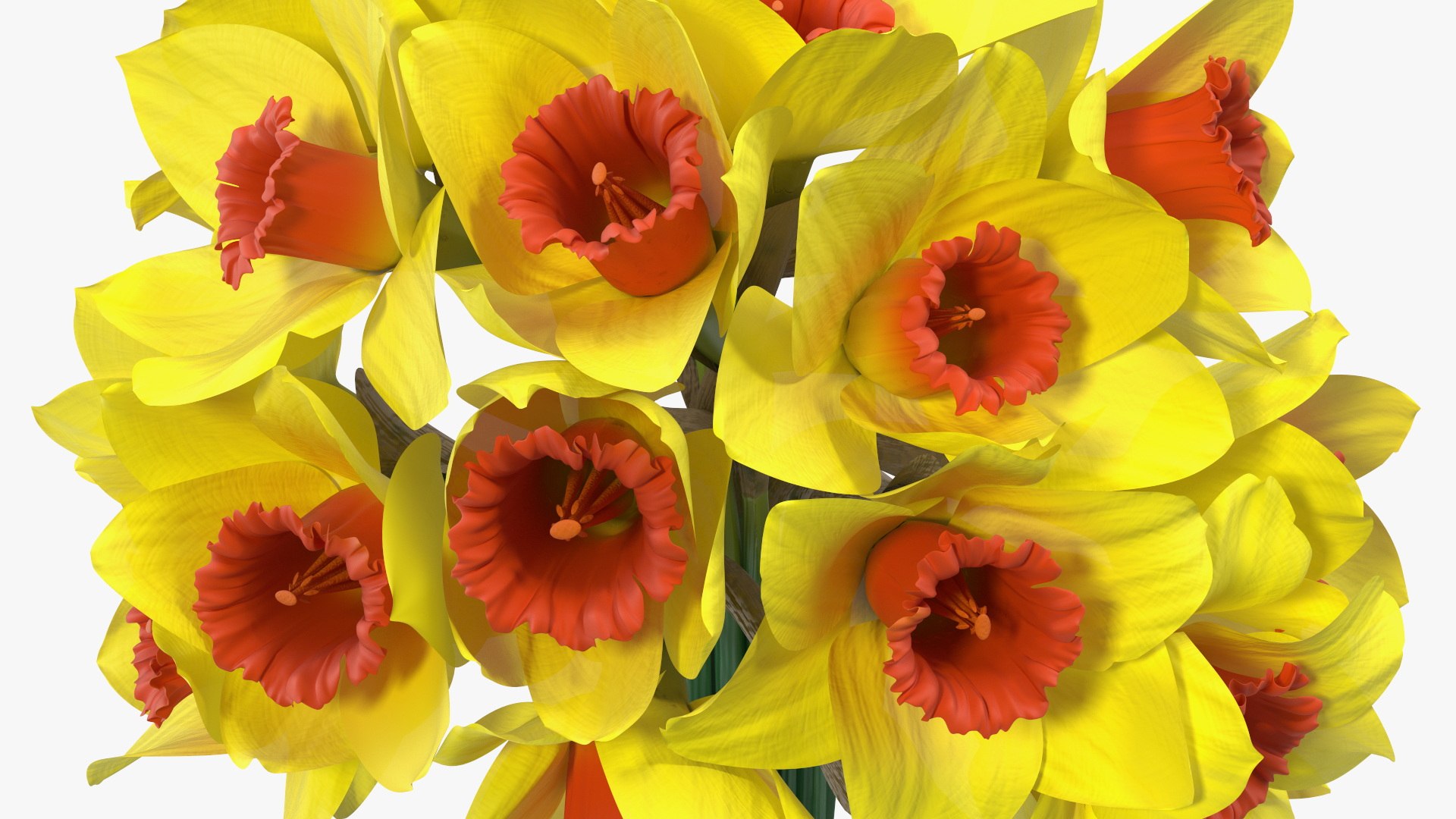 Yellow Daffodils Bouquet 3D model - TurboSquid 2094455