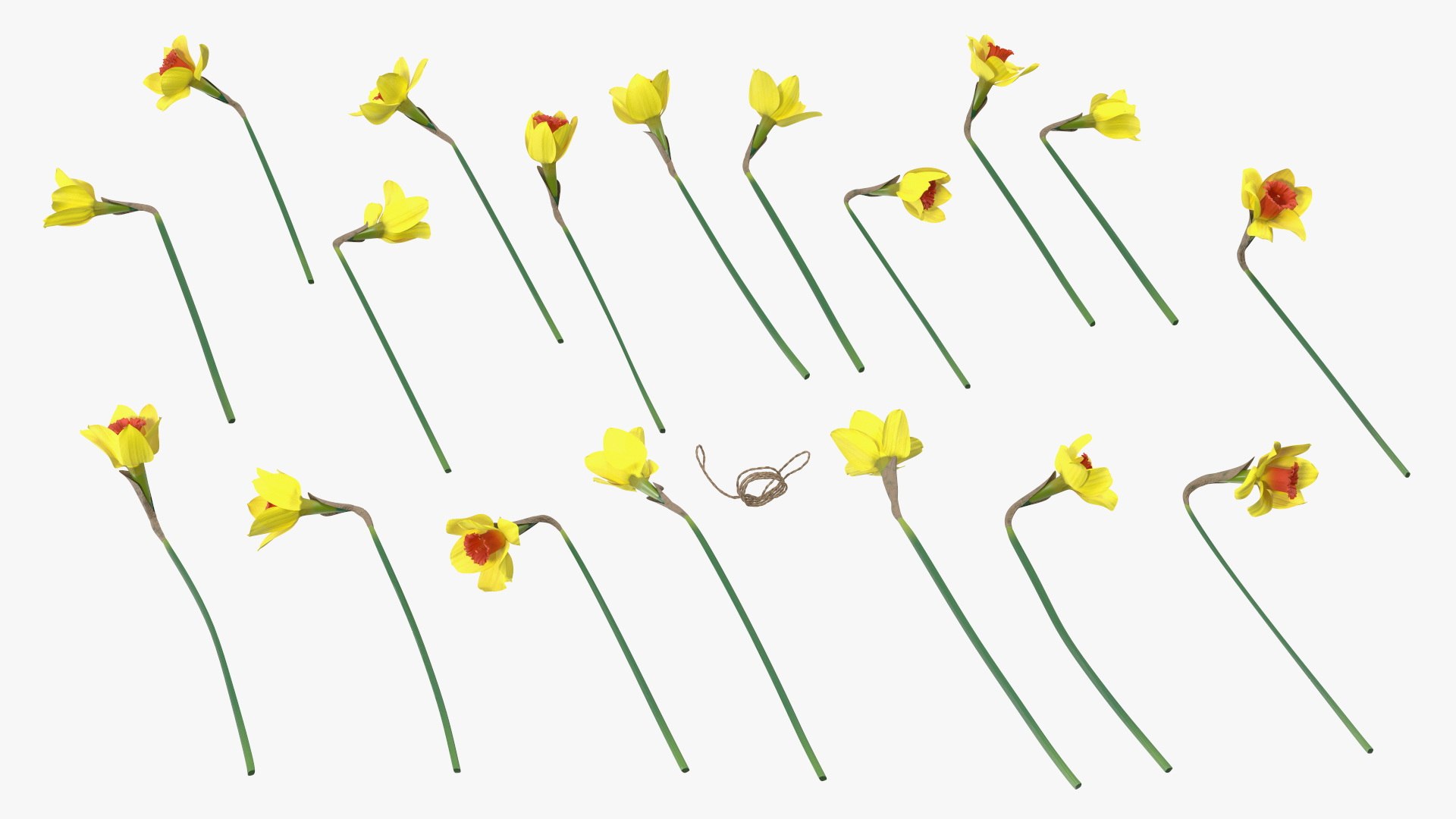 Yellow Daffodils Bouquet 3D model - TurboSquid 2094455