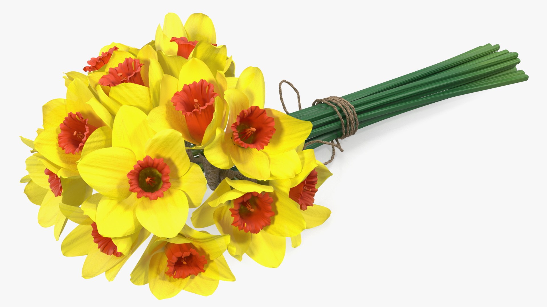 Yellow Daffodils Bouquet 3D model - TurboSquid 2094455