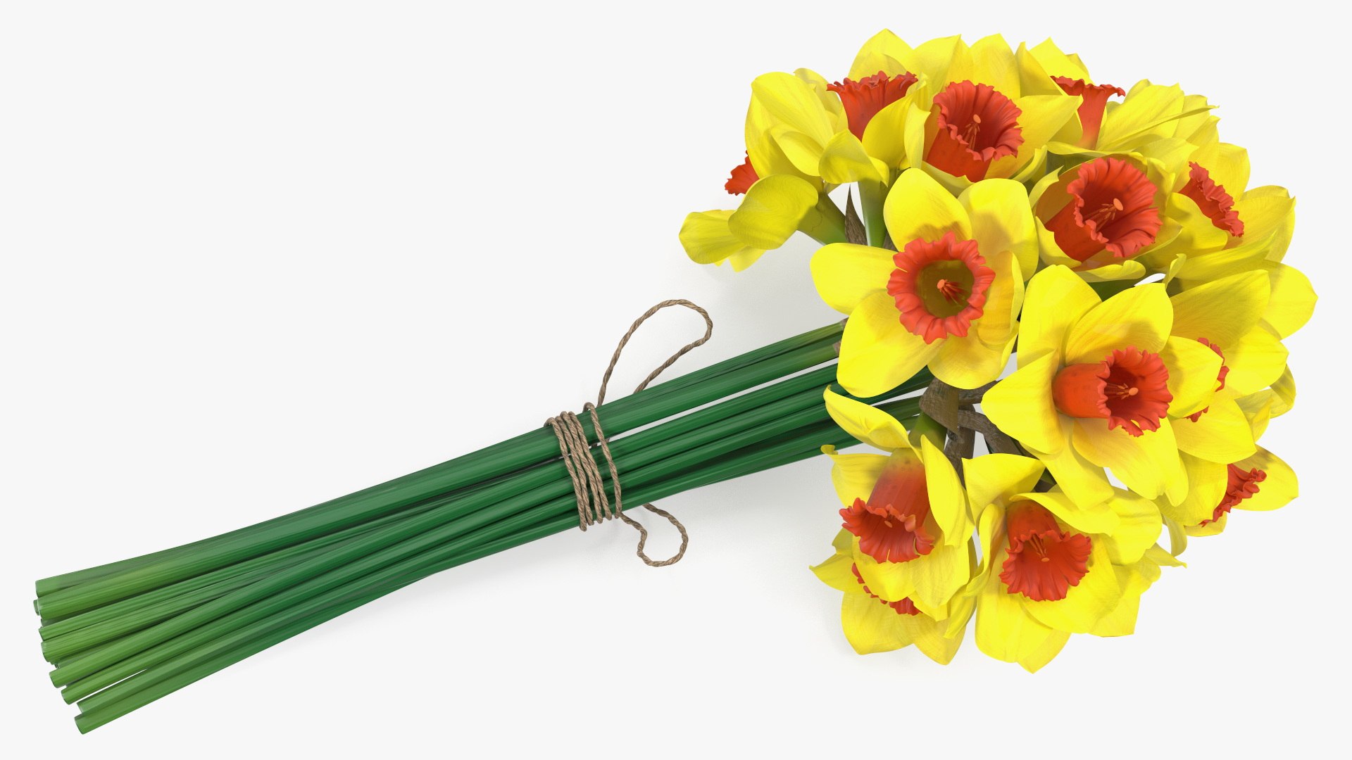 Yellow Daffodils Bouquet 3D model - TurboSquid 2094455