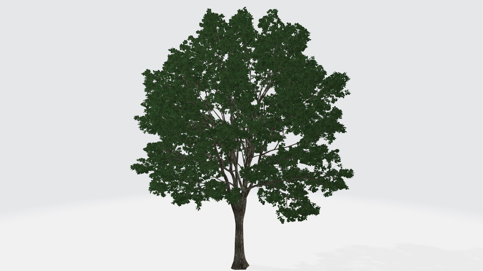Multi-leaf green tree 3D model - TurboSquid 1956196