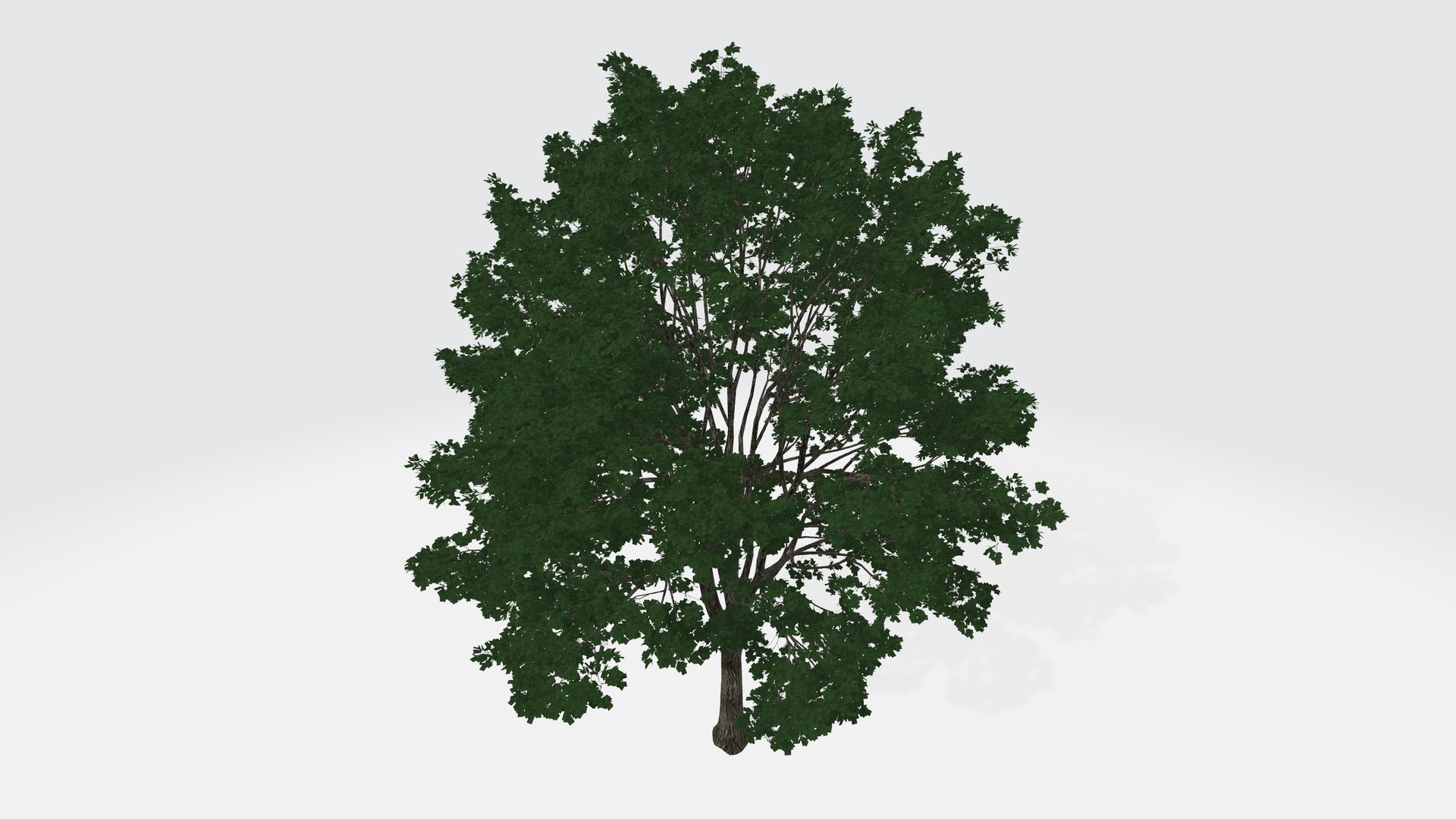 Multi-leaf green tree 3D model - TurboSquid 1956196