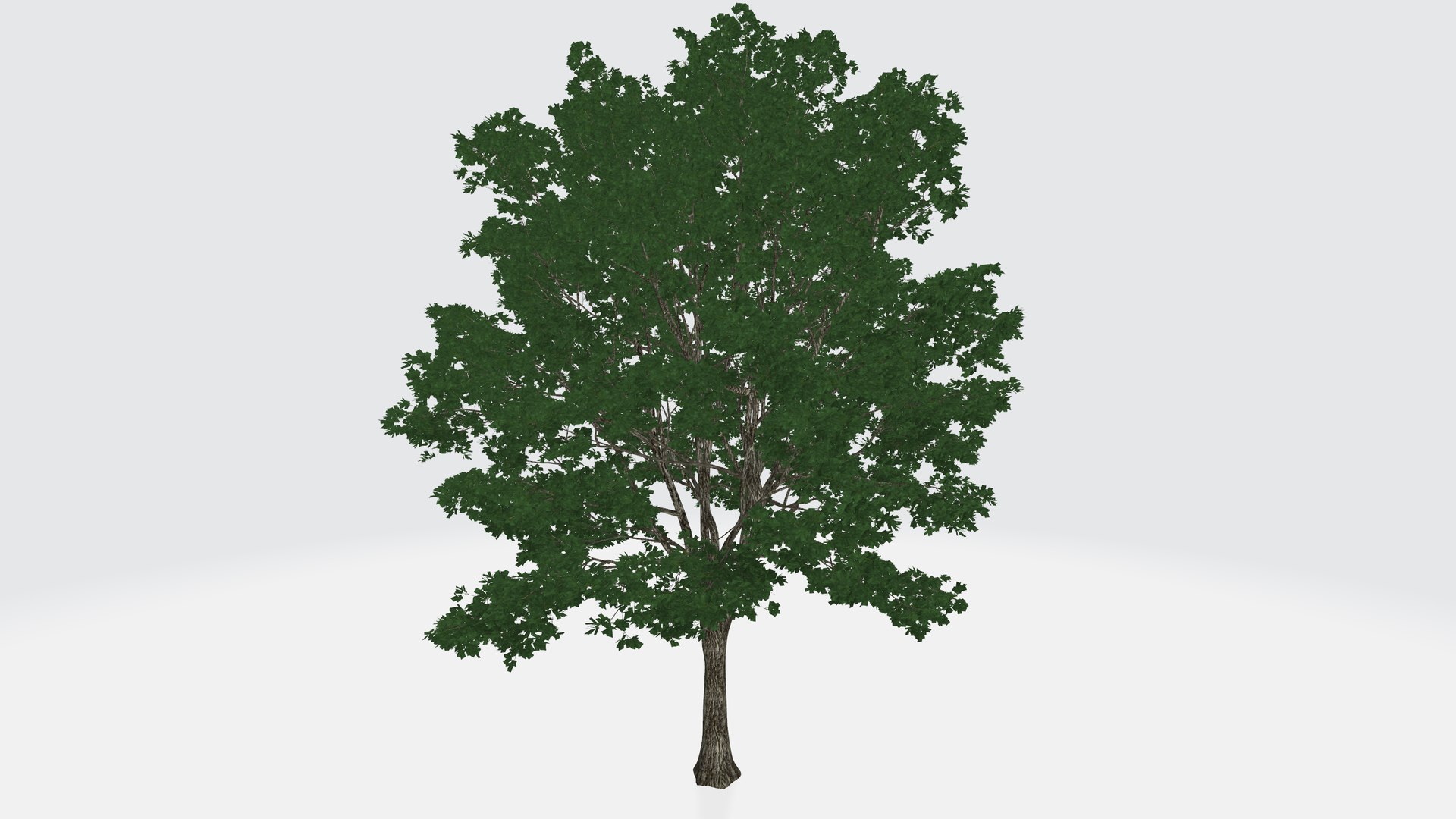 Multi-leaf green tree 3D model - TurboSquid 1956196