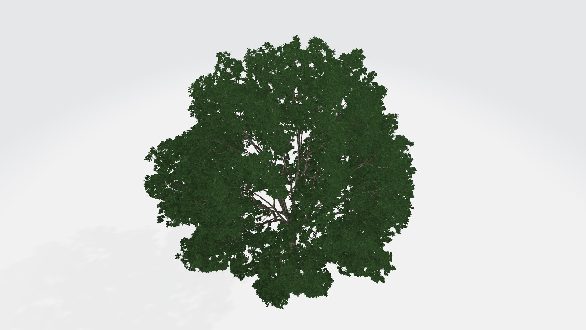 Multi-leaf green tree 3D model - TurboSquid 1956196