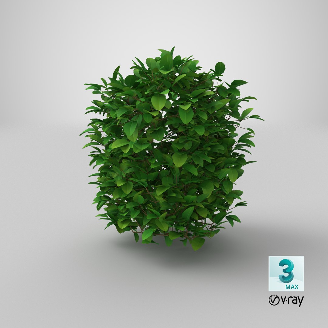 3D Cartoon Bush 04 - TurboSquid 1941418