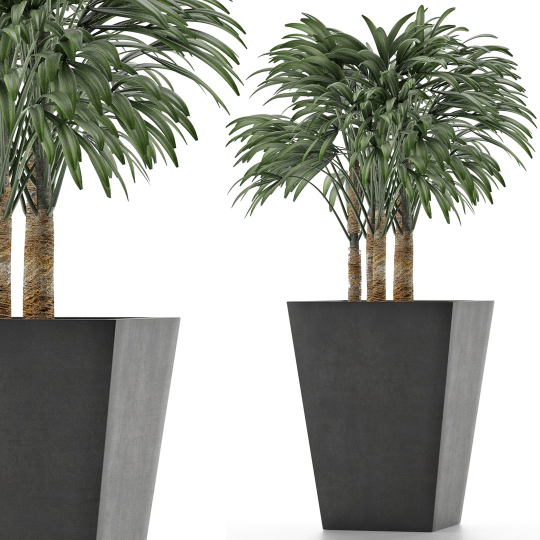Single plant 07 3D - TurboSquid 1586385