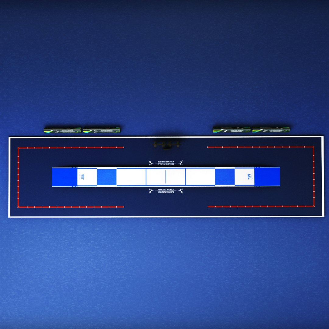 Fencing Piste Arena 3ds