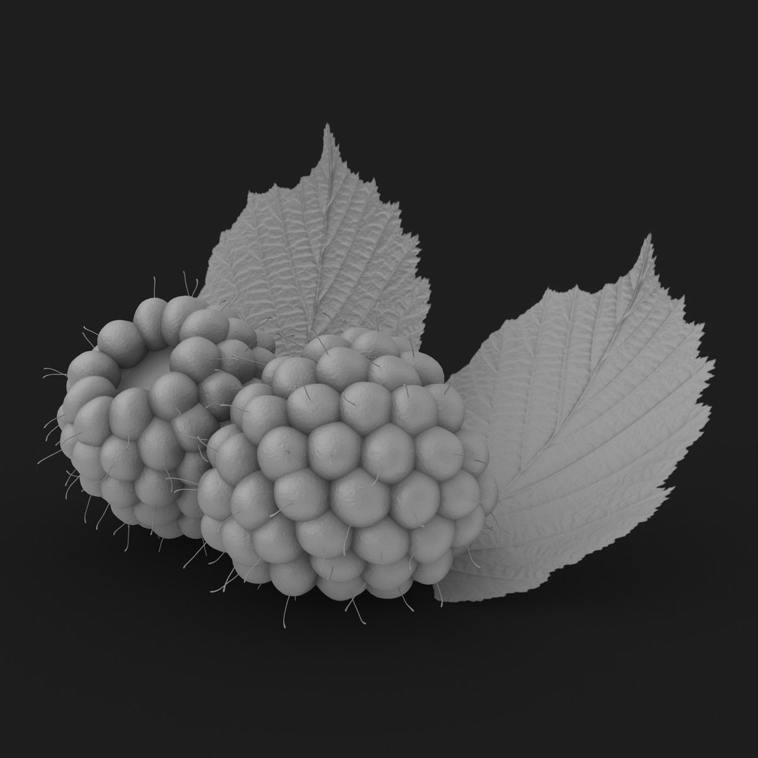 3d Realistic Blackberry