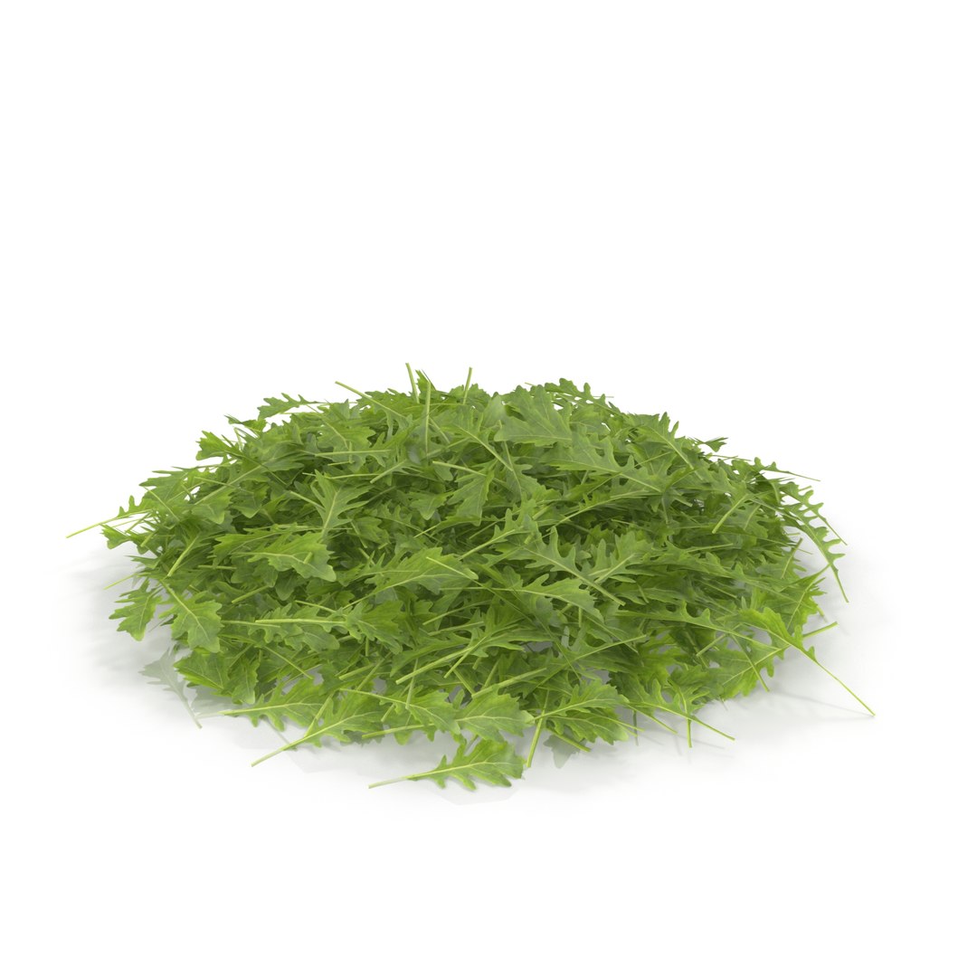 Arugula Model - TurboSquid 1516111