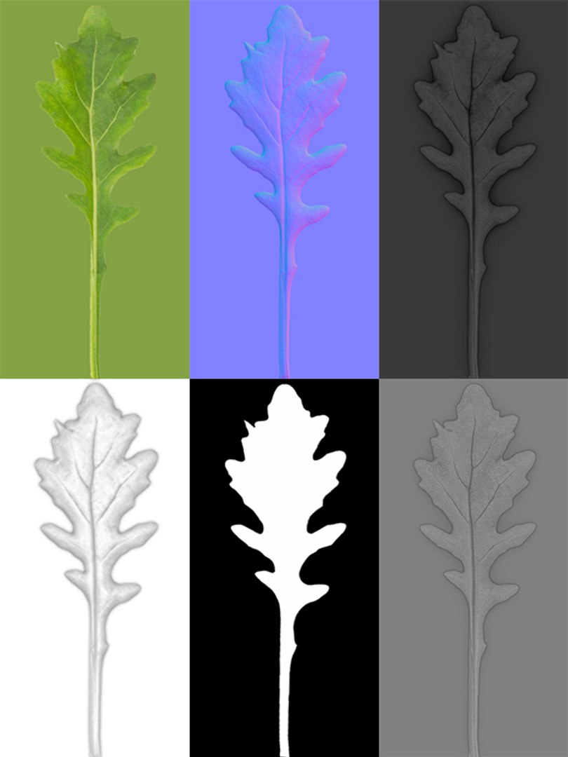 Arugula Model - TurboSquid 1516111