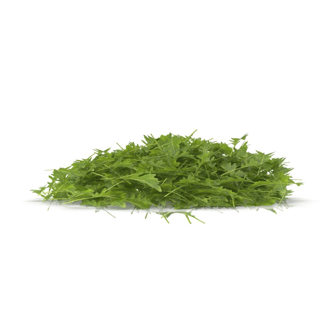 Arugula Model - TurboSquid 1516111