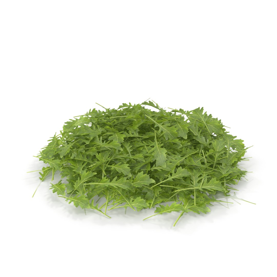 Arugula Model - TurboSquid 1516111