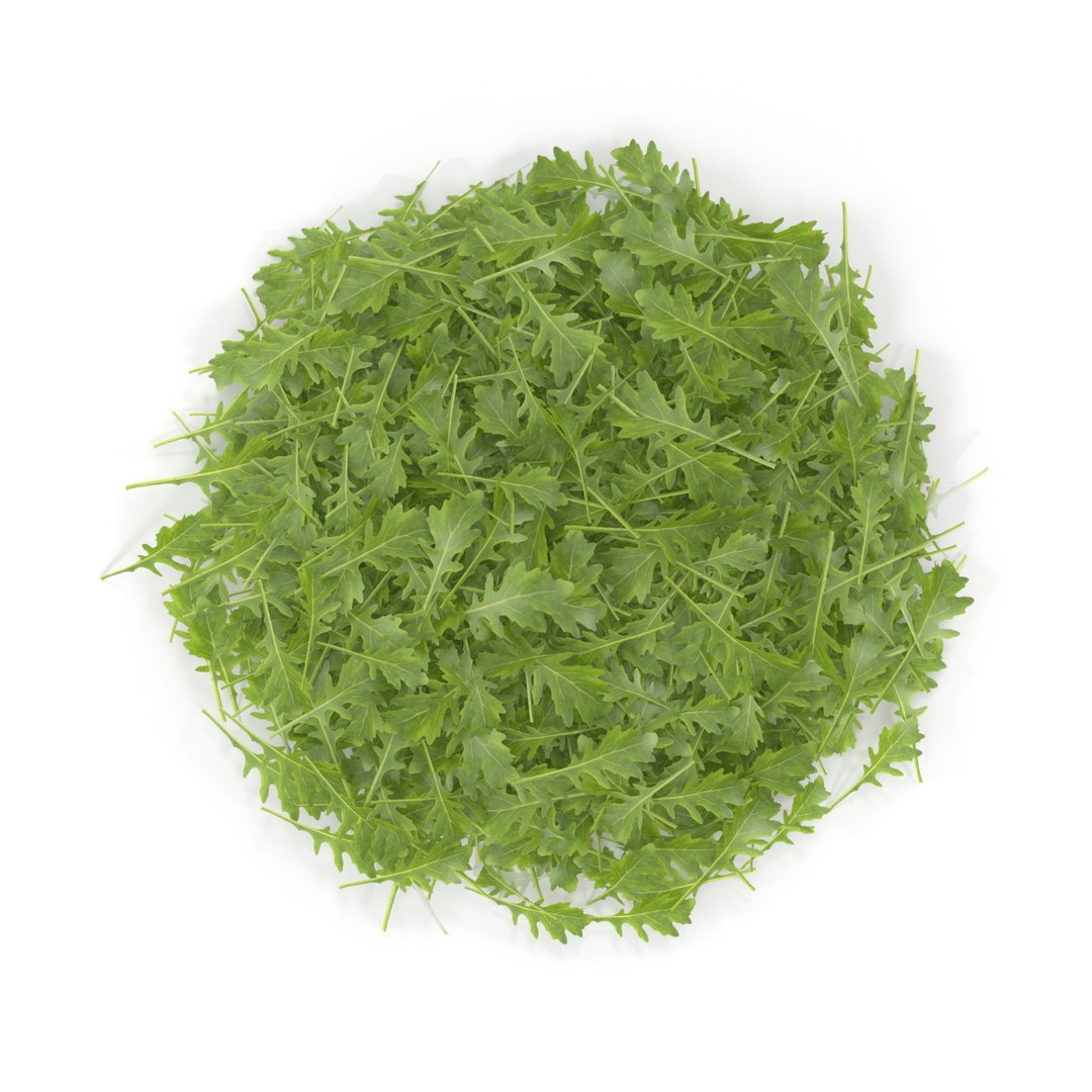 Arugula Model - TurboSquid 1516111