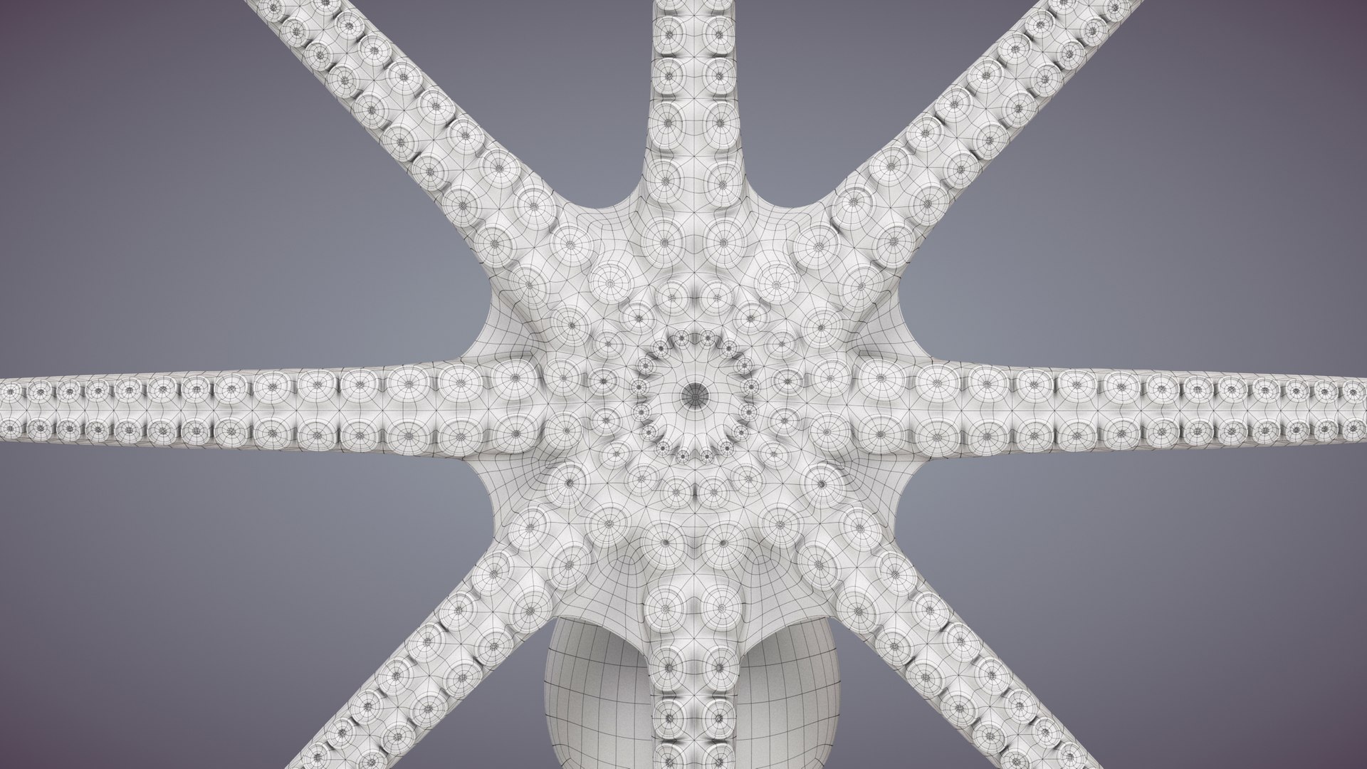 3D Octopus Rigged Animation - TurboSquid 1605011