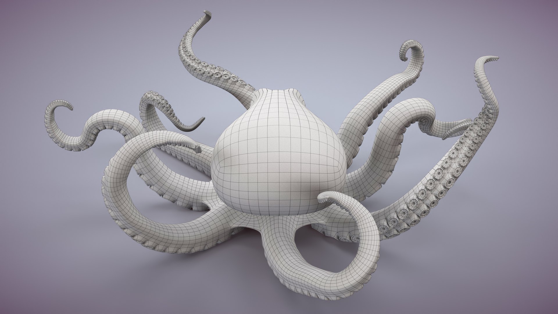 3D Octopus Rigged Animation - TurboSquid 1605011