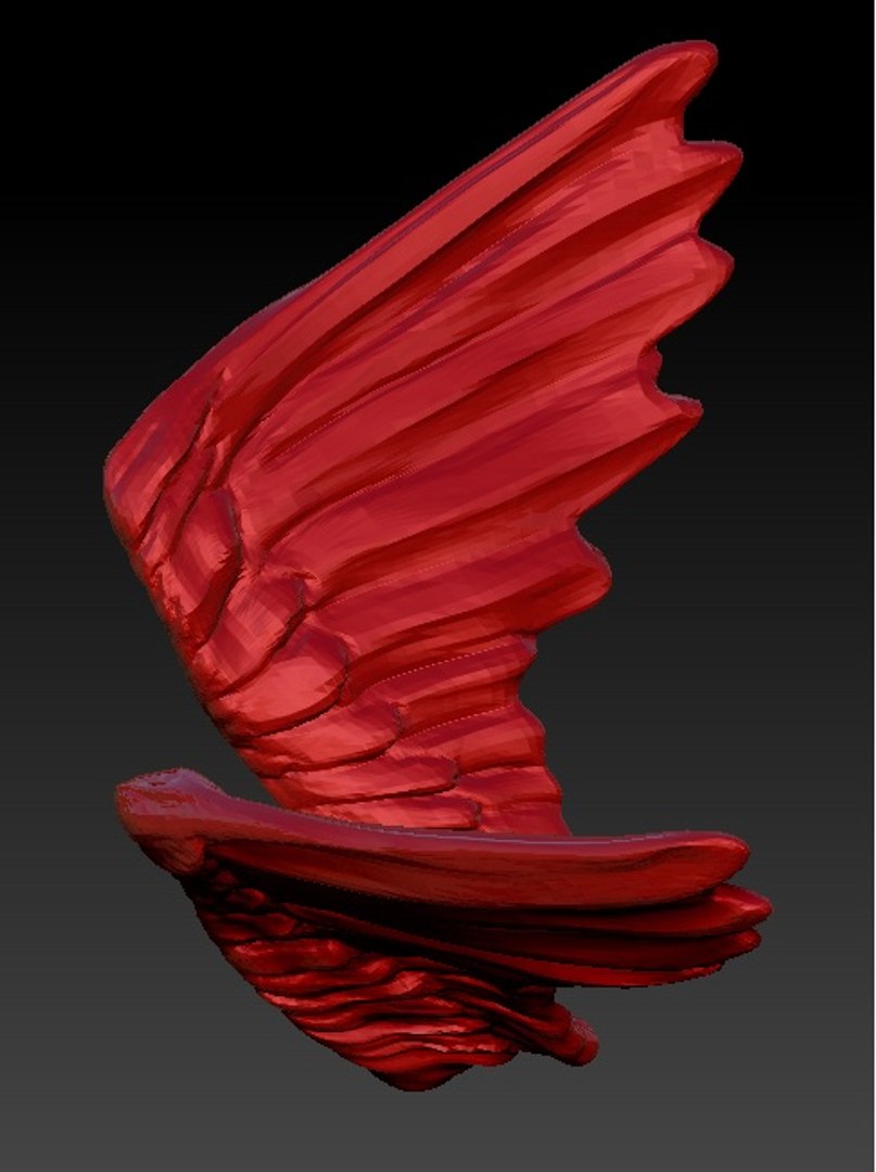 3d model wings