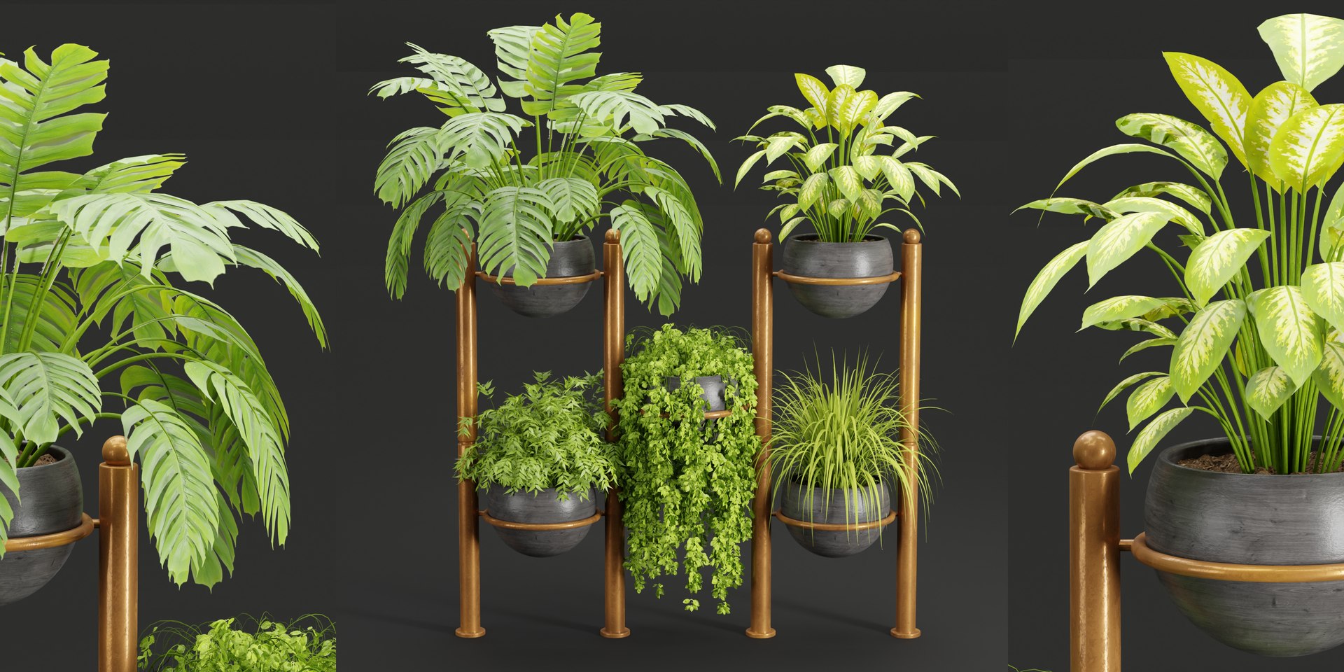 Indoor Plants Collection Vol 37-Blender 3D Model - TurboSquid 2112046
