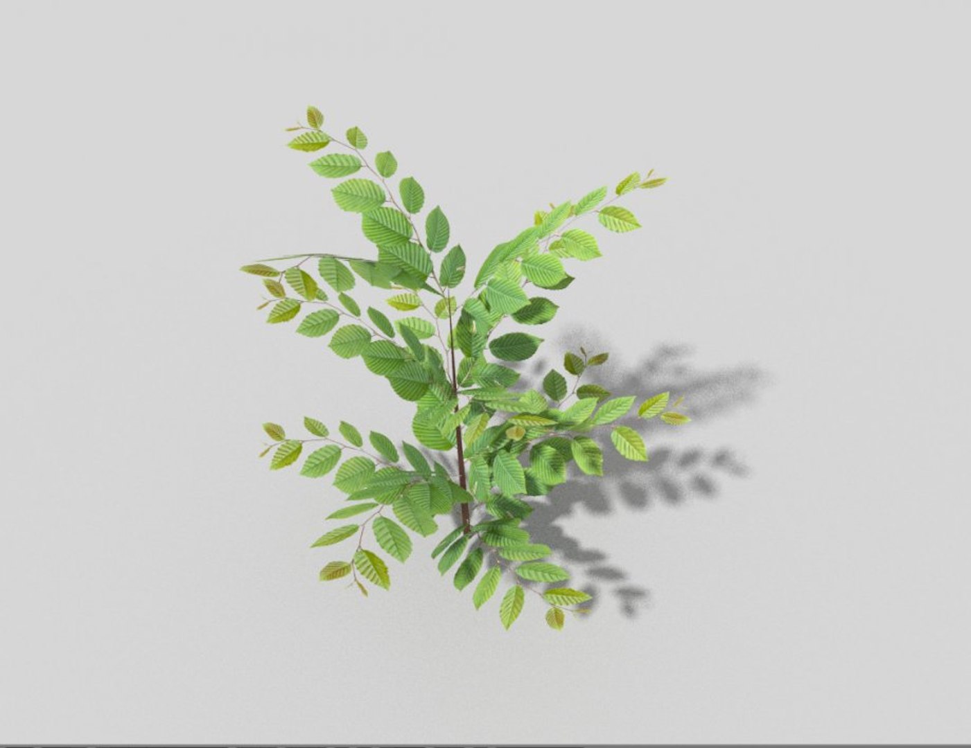 3d Shrub Games