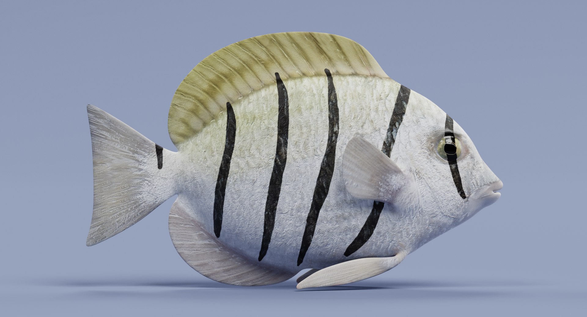 3D Convict Tang Model - TurboSquid 1251119