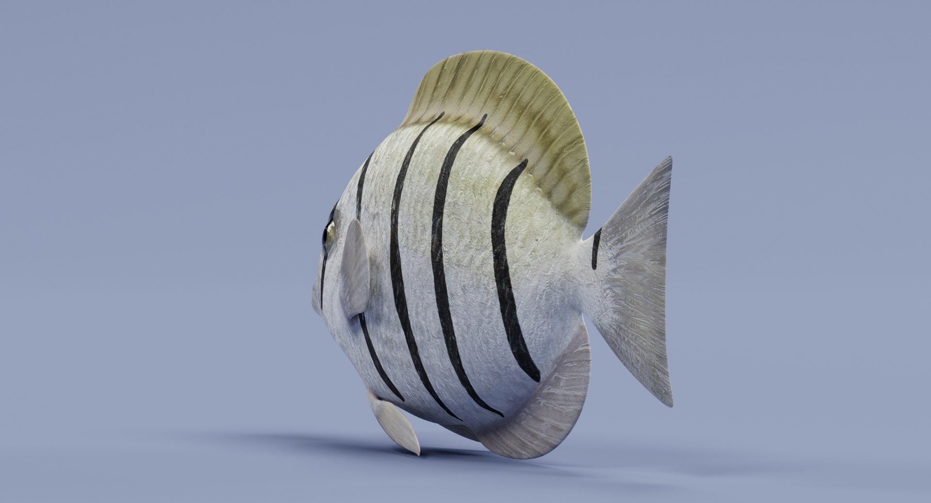 3D Convict Tang Model - TurboSquid 1251119