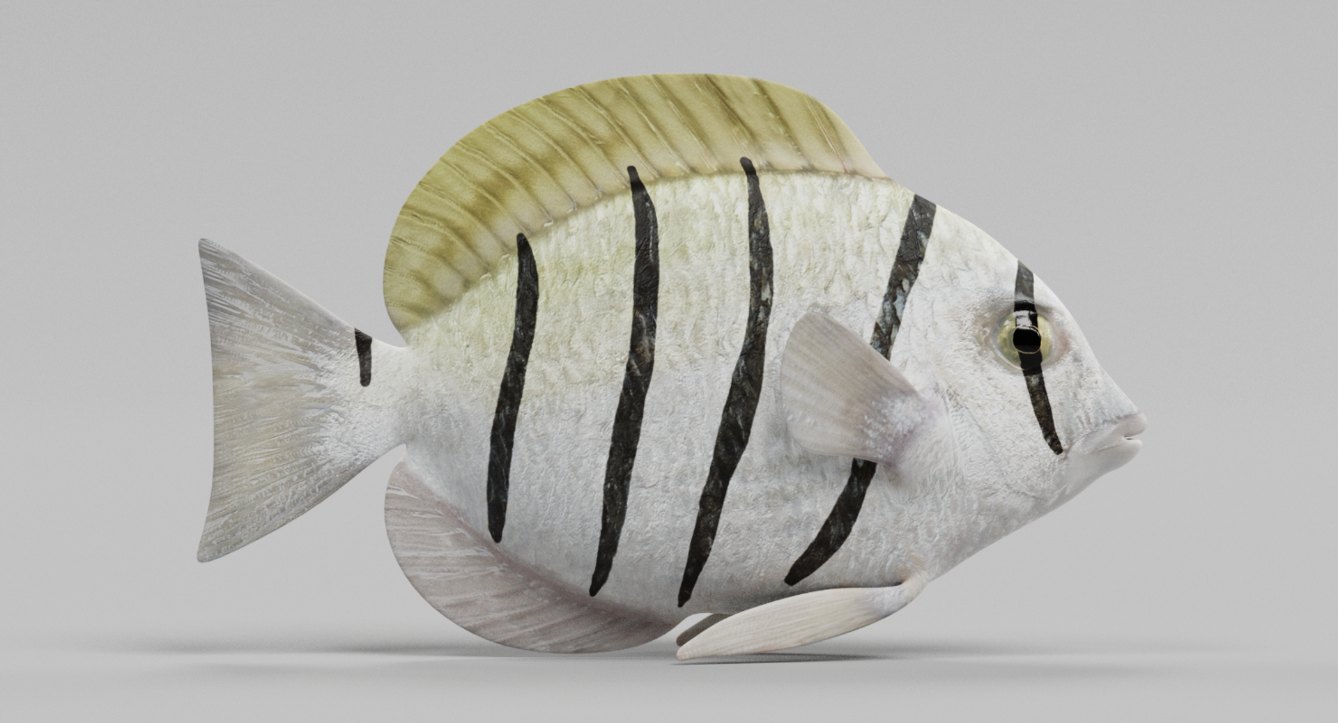 3D Convict Tang Model - TurboSquid 1251119