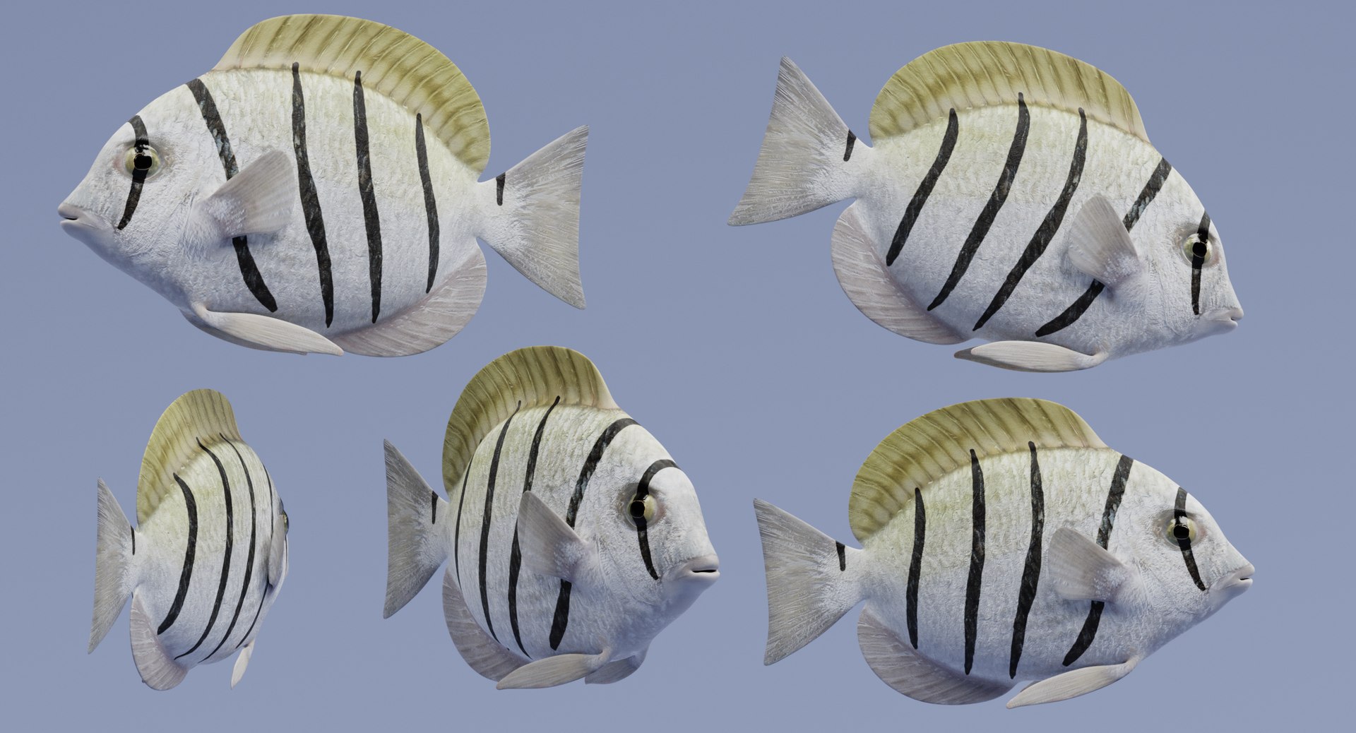 3D Convict Tang Model - TurboSquid 1251119