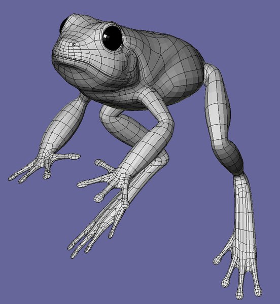 3D FBX frog