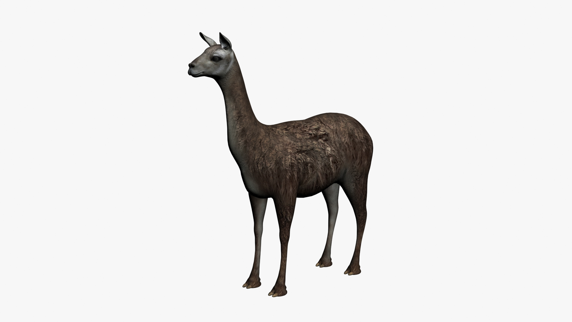 Llama Lama 3D Model - TurboSquid 1452987