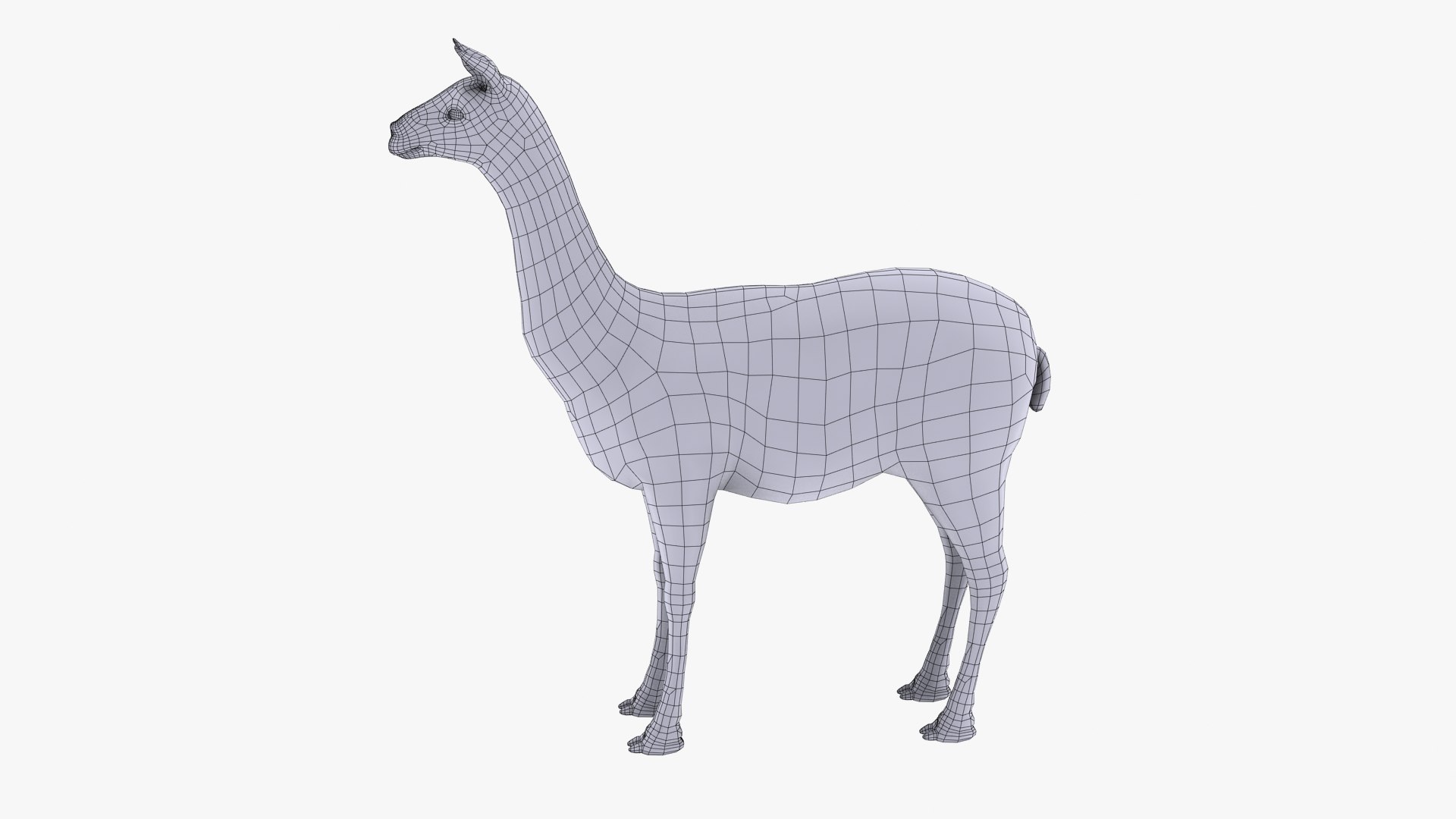 Llama Lama 3D Model - TurboSquid 1452987