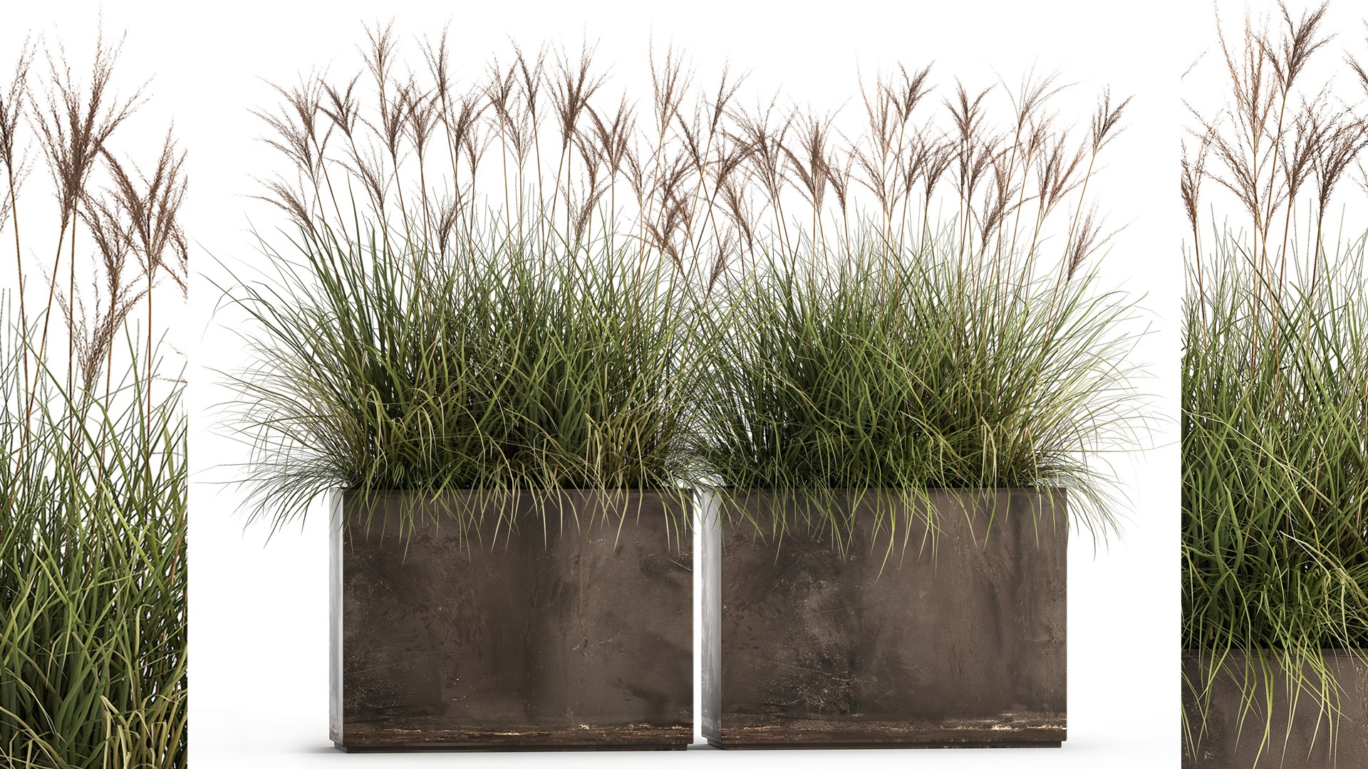 Reeds in a rusty flower pot for the interior 933 3D - TurboSquid 1722277
