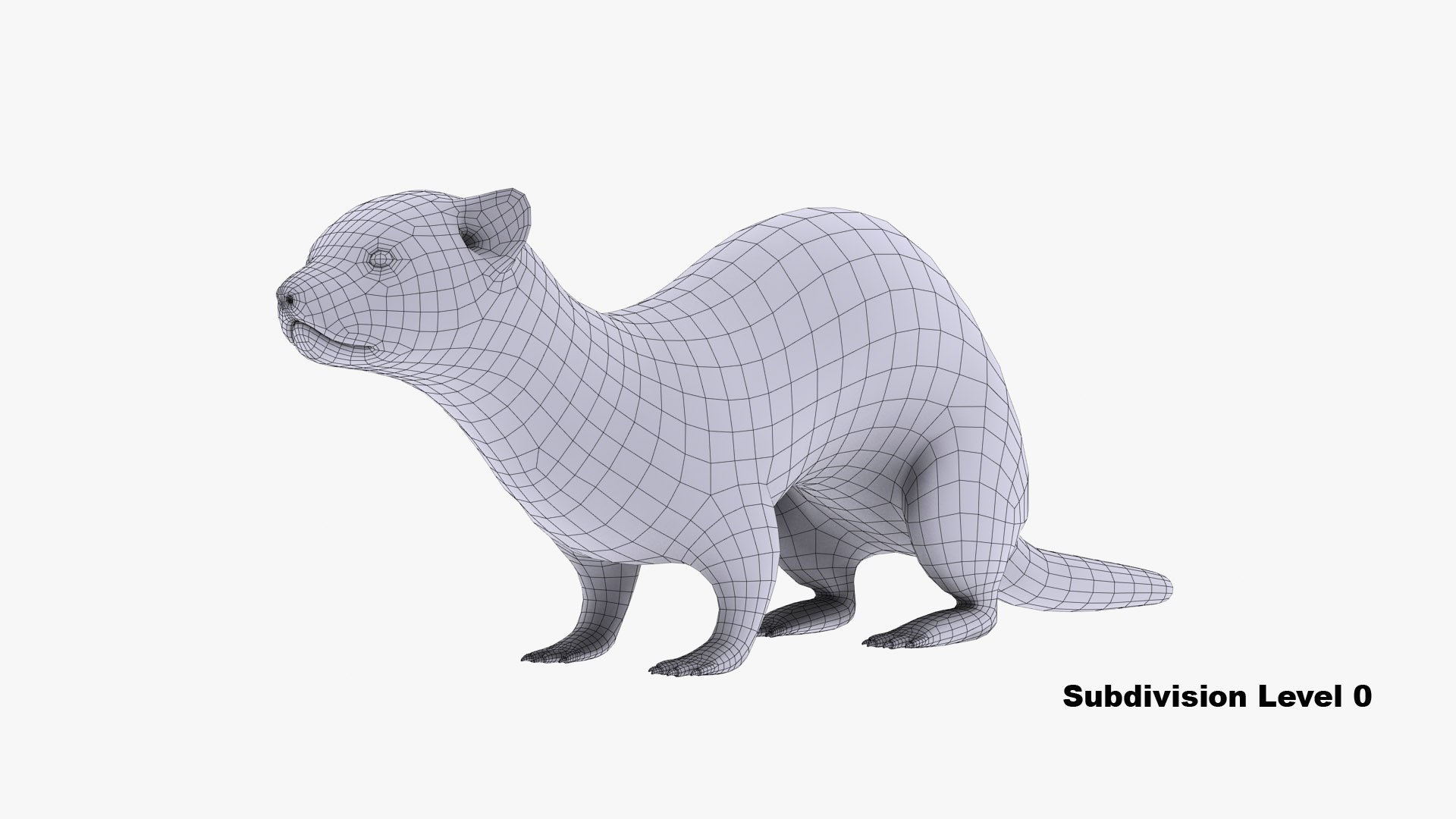 Ferret animal mongoose 3D model - TurboSquid 1447768