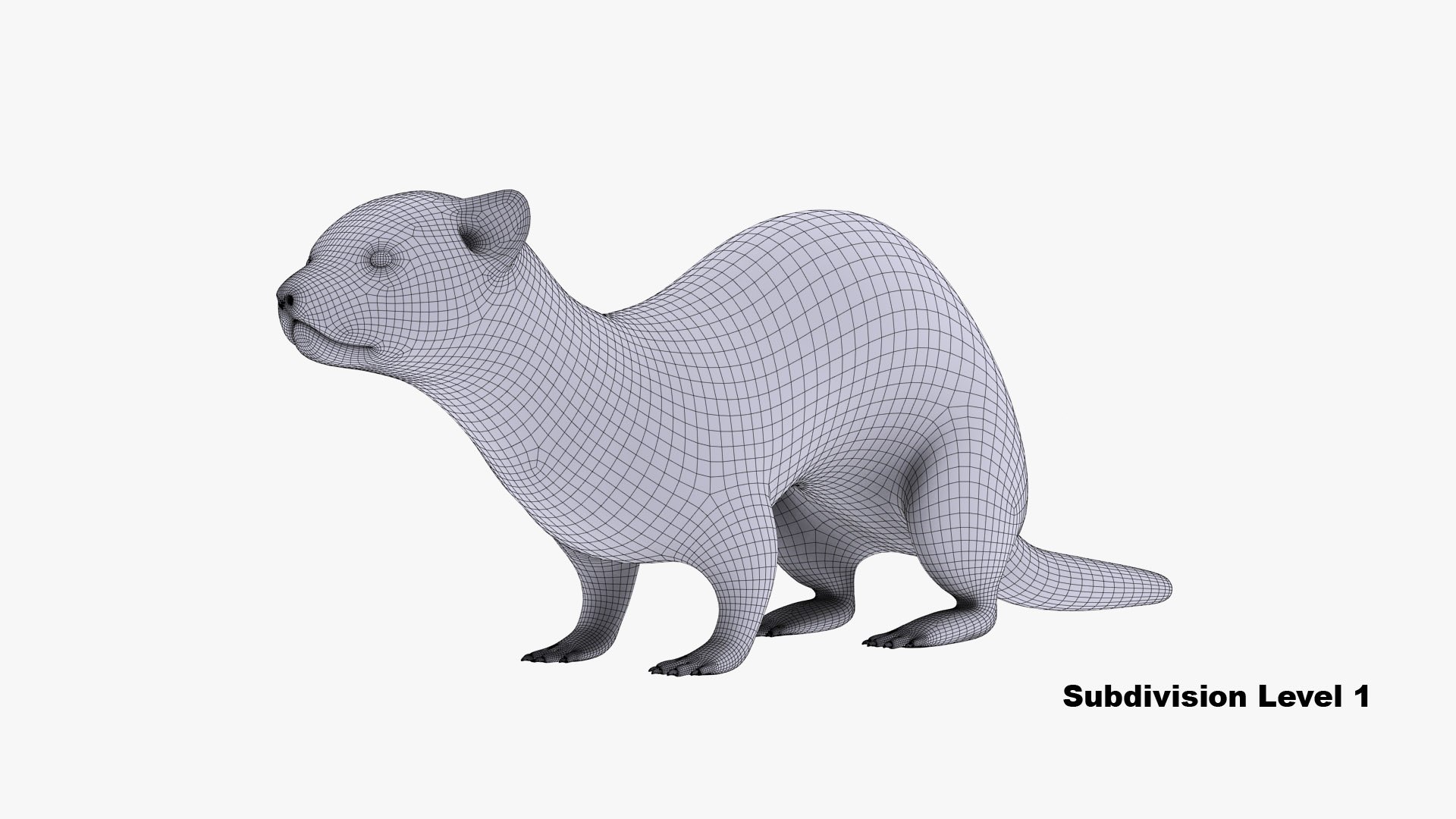 Ferret animal mongoose 3D model - TurboSquid 1447768