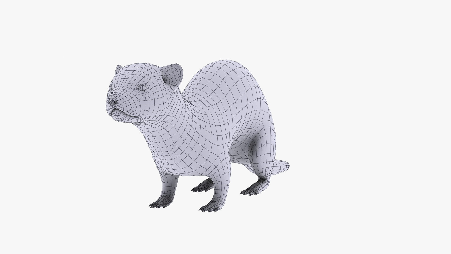 Ferret animal mongoose 3D model - TurboSquid 1447768