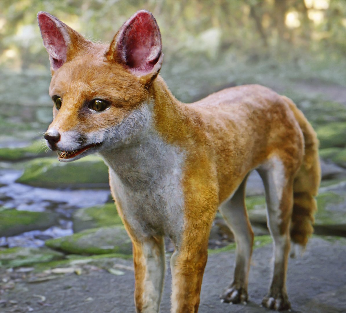 3D Fox - TurboSquid 1781768