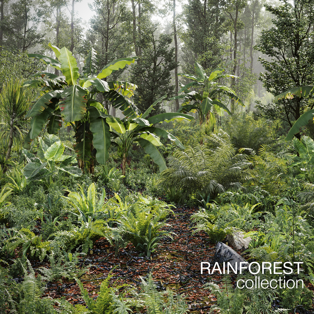 Rainforest Collection 3D - TurboSquid 1743426
