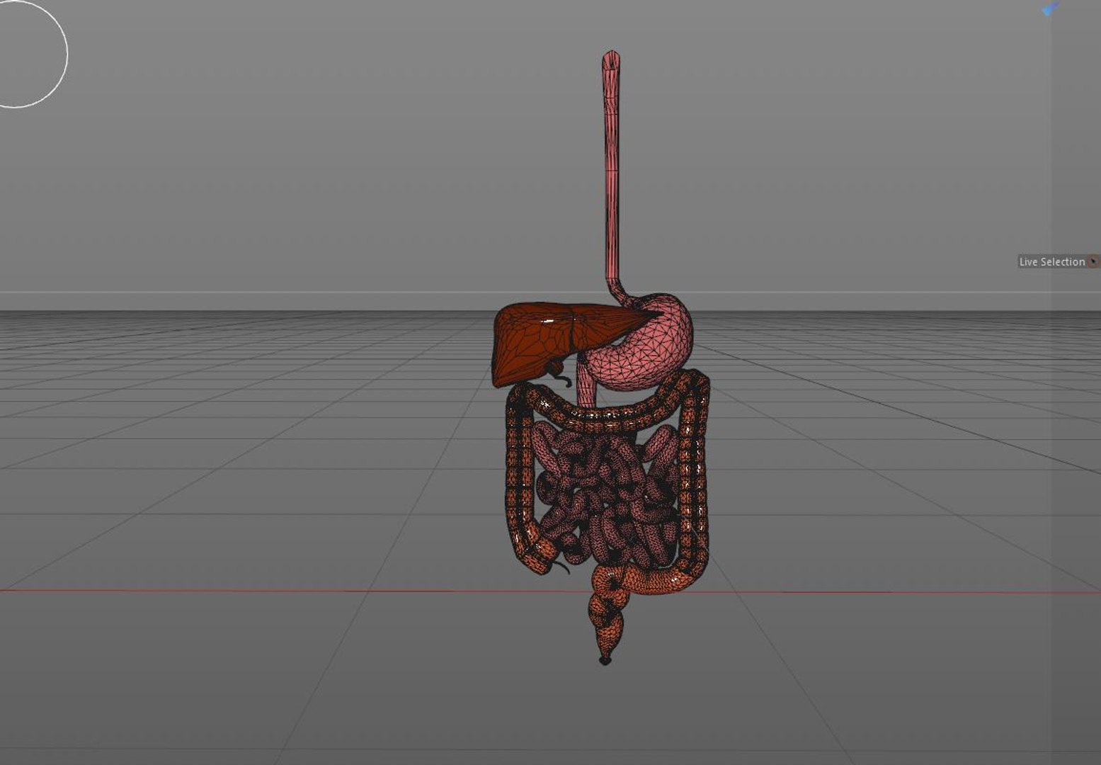 Colon Intestine 3D - TurboSquid 1333590