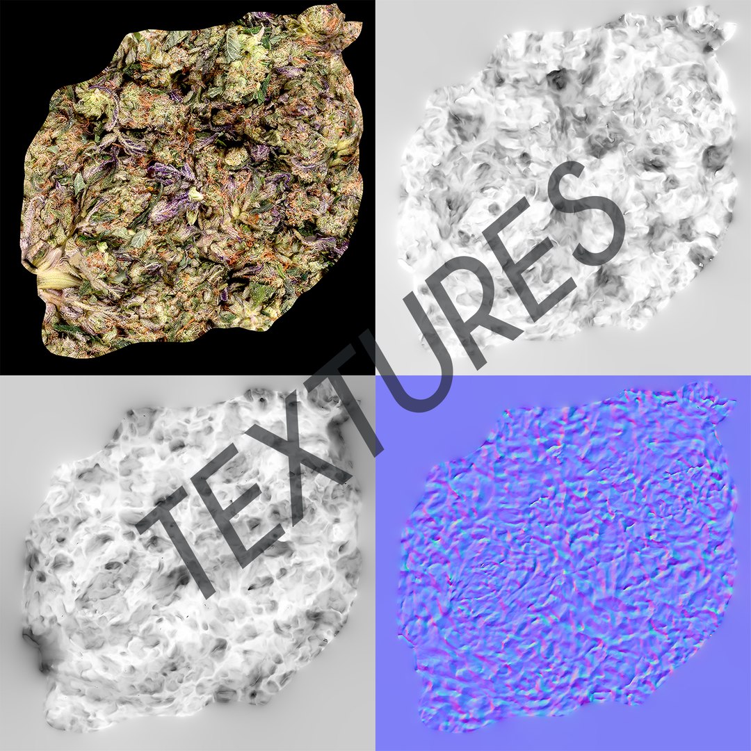 Marijuana Bud 3 - 3D Model - TurboSquid 1565540